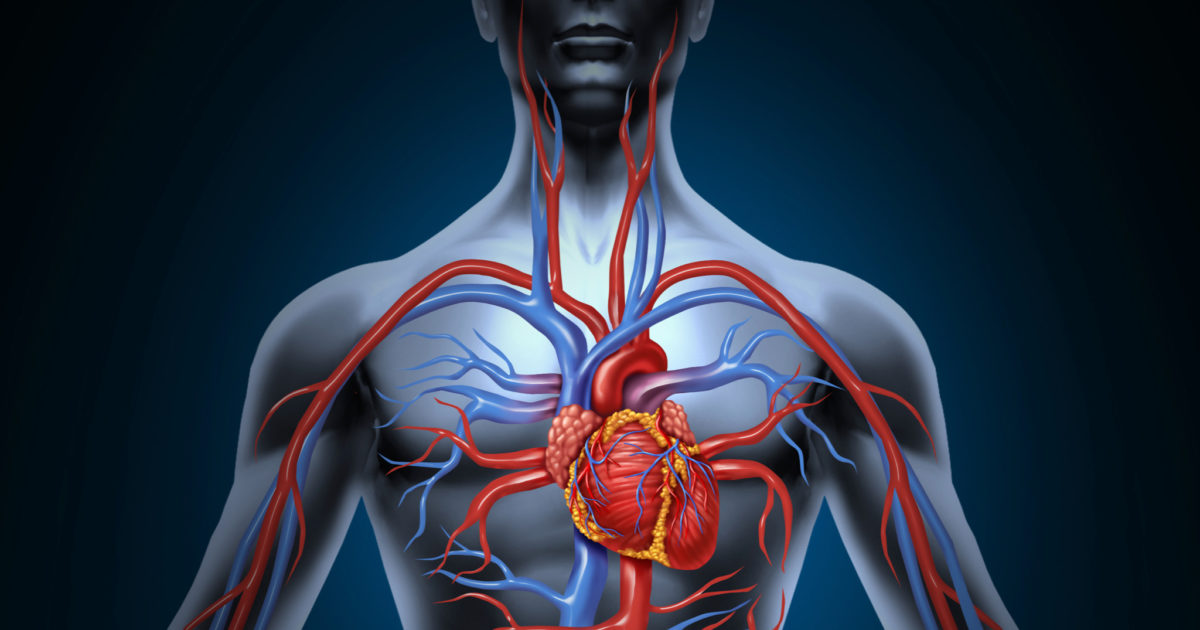 Você sabe o seu risco cardiovascular? - Cardiologia.pro